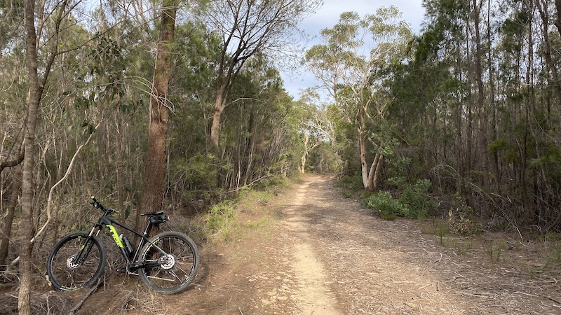 Pennant Hills Fire Trail Mountain Biking Trail - Hornsby