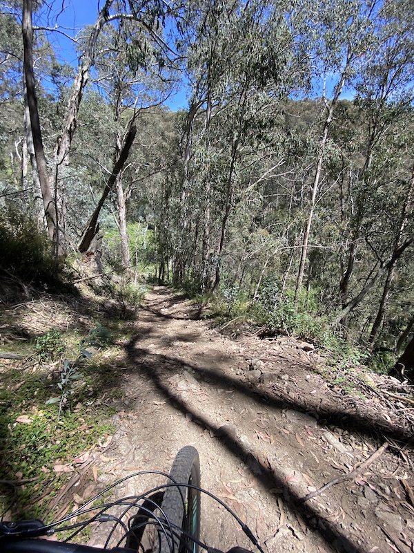 Delatite River Trail Multi Trail - Mt Buller