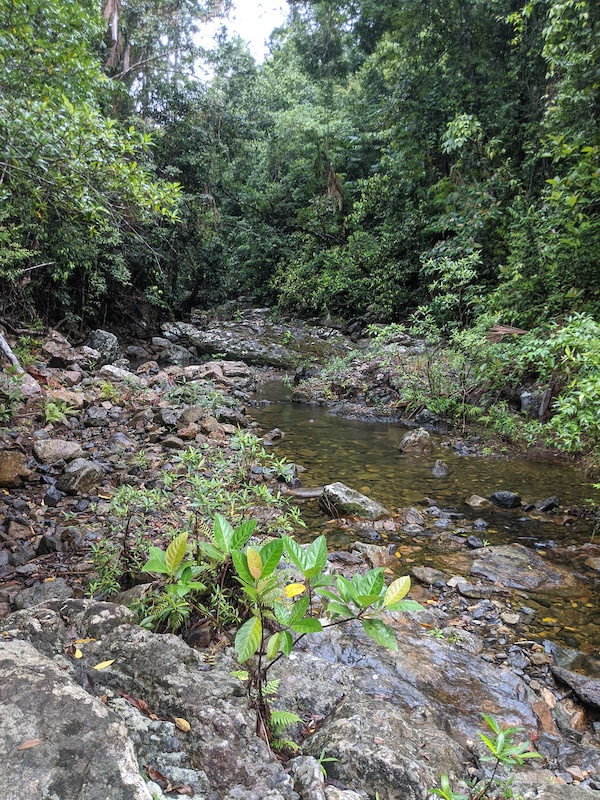 Conway Circuit Mountain Biking Trail - | Trailforks