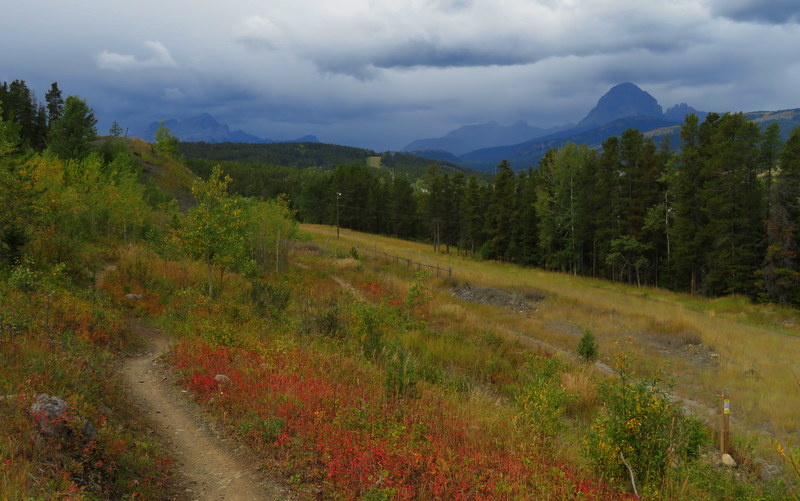 The Big Bird Loop Mountain Biking Route | Trailforks
