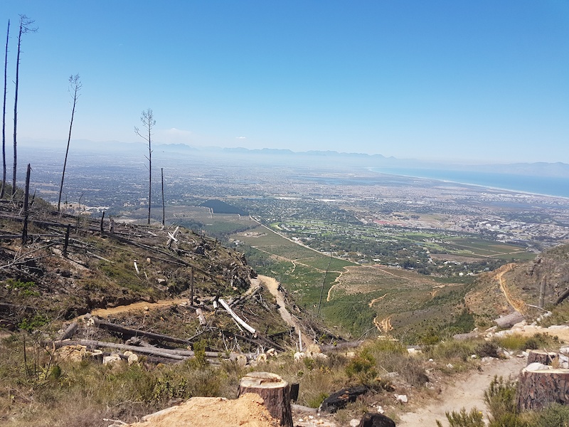 Donkey Trail Mountain Biking Trail - Tokai | Trailforks