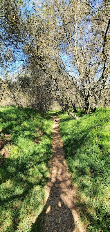 American River Bike Trail (Jedediah Smith Memorial Trail) Mountain ...