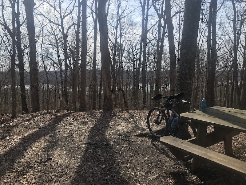 Roam Fest Knoxville 2023 - OYO - Loyston Blue Loop Mountain Biking ...