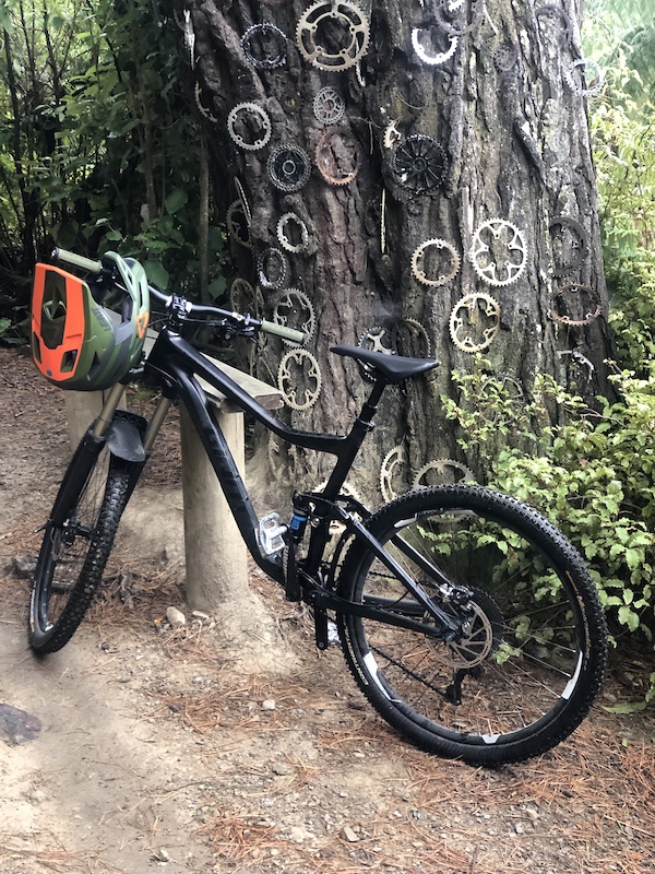 Makara Peak Fern Loop (Koru and Lazy Fern) Mountain Biking Route ...
