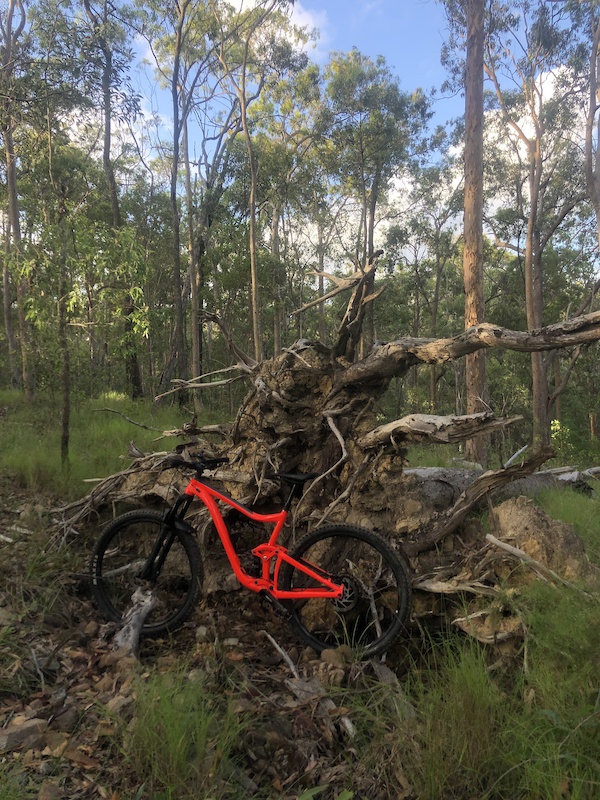 Nerang MTB Legends 20km loop | Trailforks