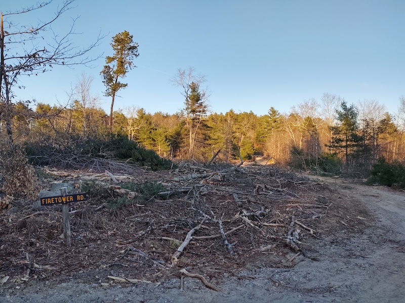 Pachaug/Nehantic Trail Hiking Trail - Voluntown, CT