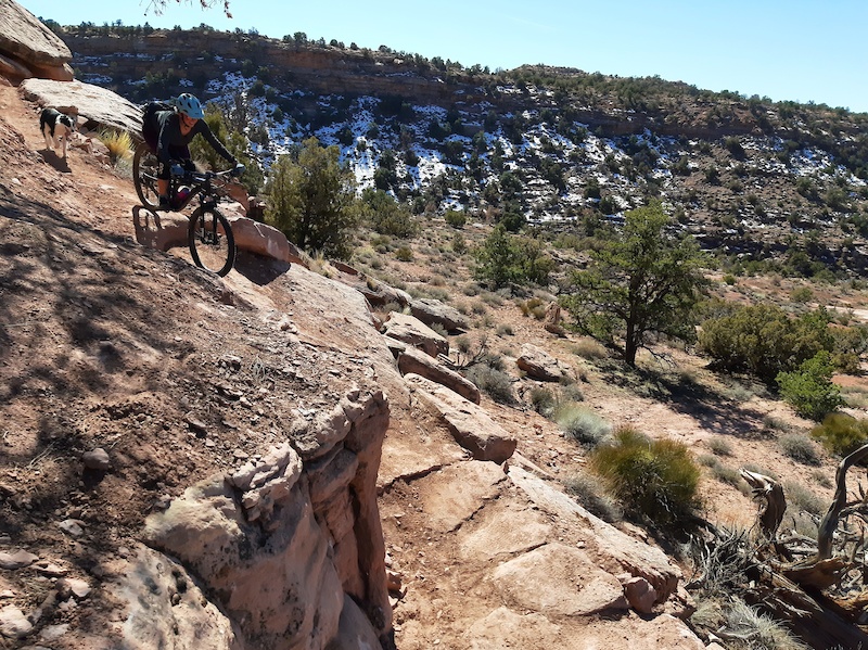 Falcon Flow Sand Flats Road Loop Mountain Biking Route | Trailforks
