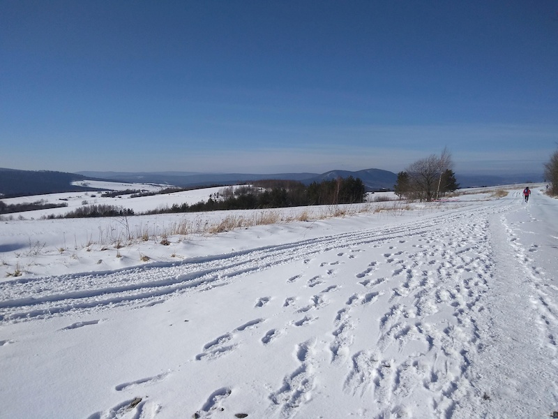 Rymanów, Poland Road Biking Trails | Trailforks