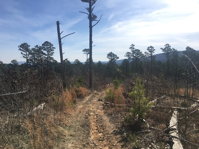 Water Bars Mountain Biking Trail - Muse, Oklahoma