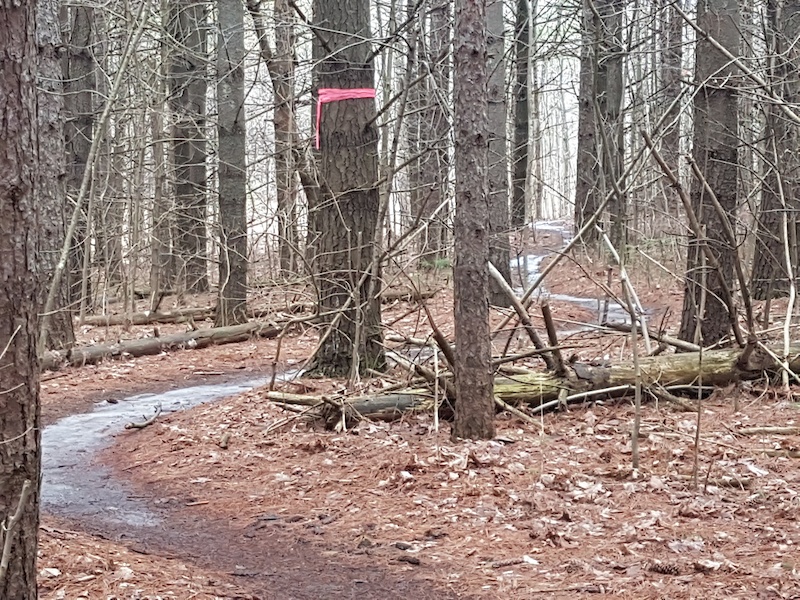 Poison Ivy Mountain Biking Trail - Guelph, Ontario