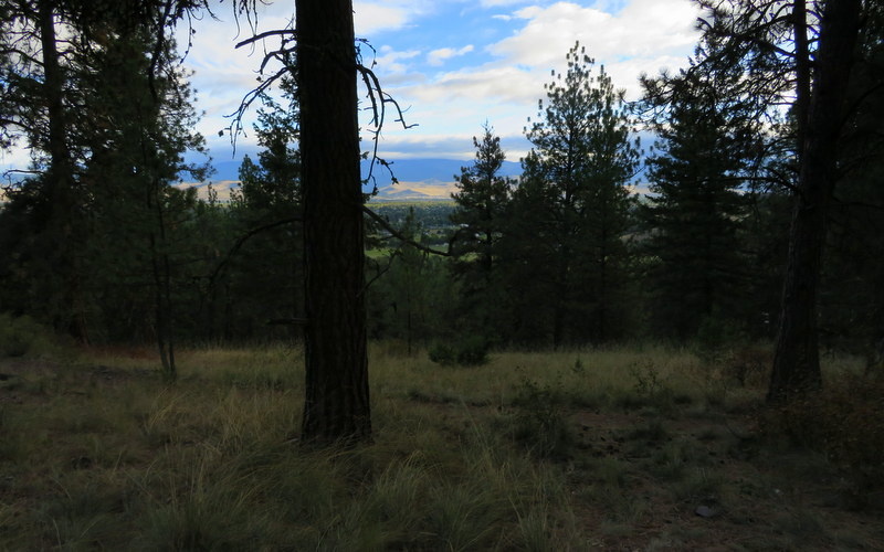 Carcass Mountain Biking Trail - Missoula, Montana