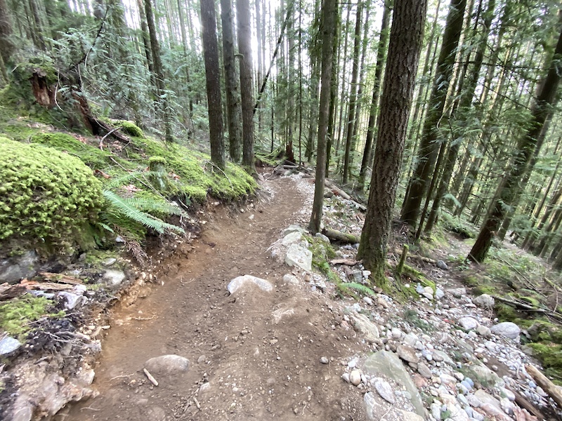 Pristine Dirtbiking Trail - Maple Ridge, British Columbia