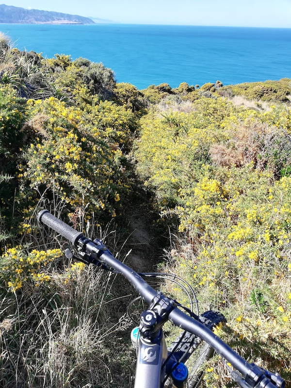 Red Rocks old exit Mountain Biking Trail - Wellington