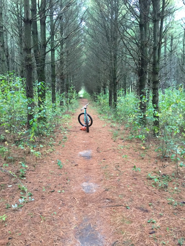 Lowlands Mountain Biking Trail - Mount Morris, Wisconsin