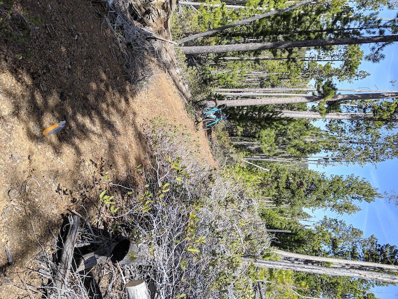 Swamp Wells/ Coyote Loop | Trailforks