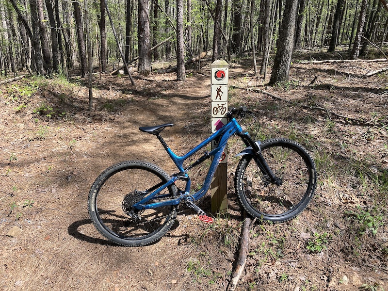 IMBA Trail Mountain Biking Trail - McCalla, Alabama