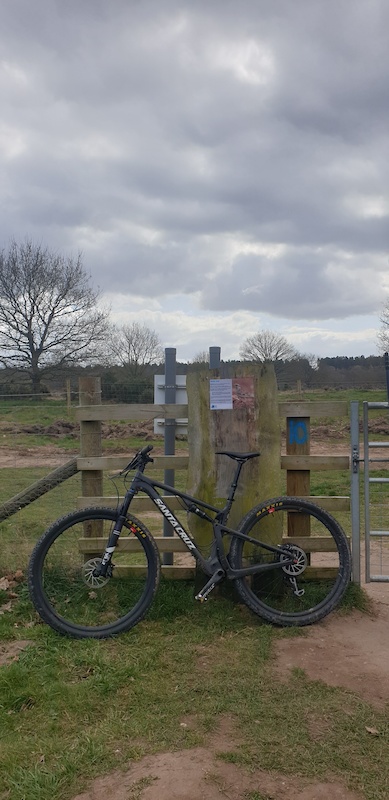 teversal trail - teversal to rowthorn trail Mountain Biking Trail