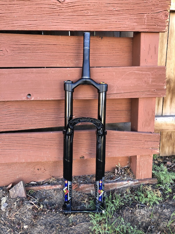 2019 MRP Ribbon For Sale