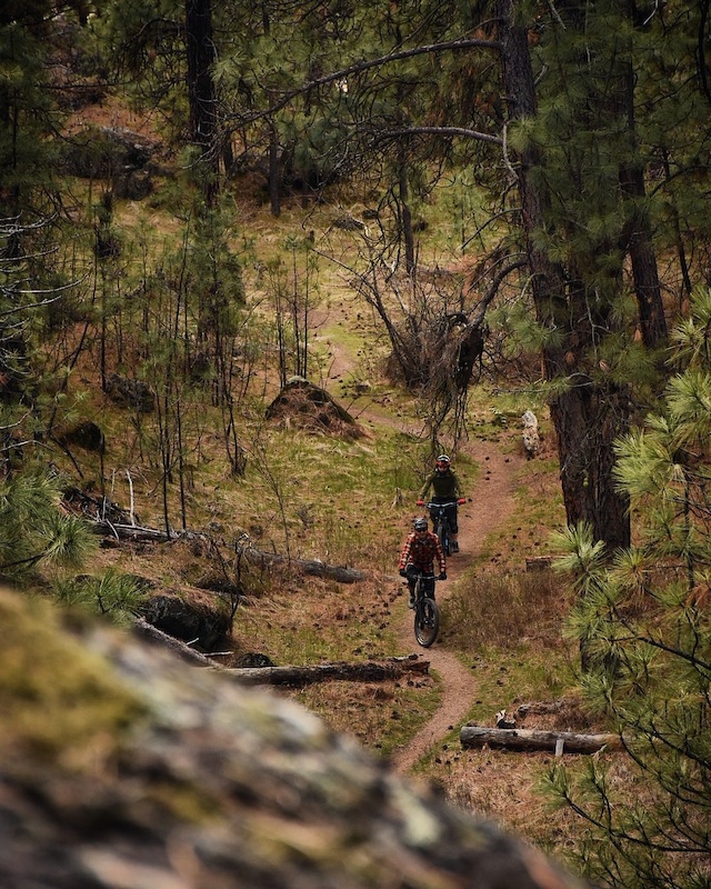Granite Trail Mountain Biking Trail - Spokane, Washington
