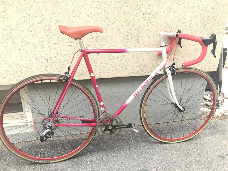 Merckx Reynolds 753 Frameset with Campagnolo 10sp For Sale