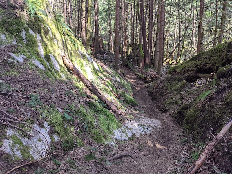 Loop High Line Multi Trail - Squamish, British Columbia