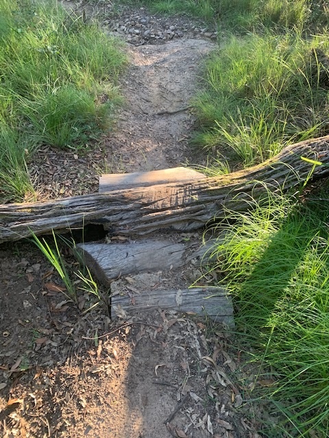 Timber ramp up over log with log back ramp POI | Trailforks