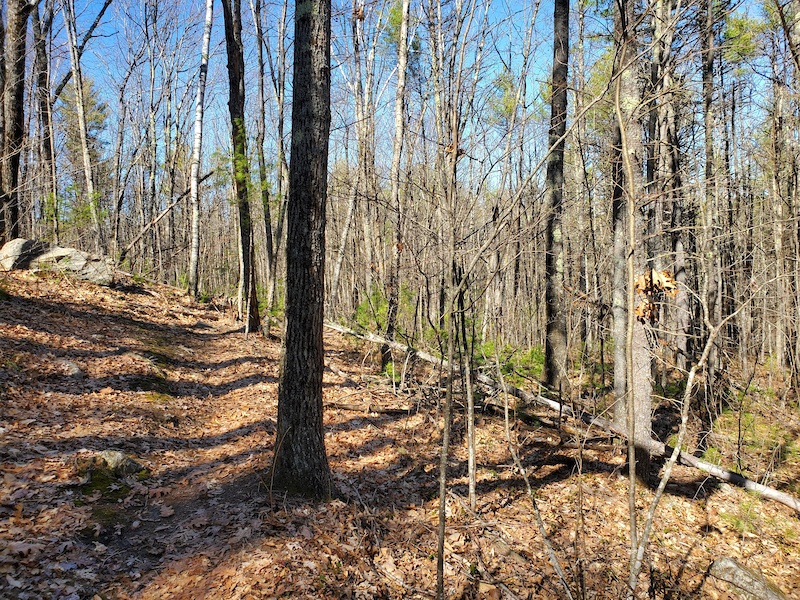 Catamount Hill Mountain Biking Trail - Allenstown, NH