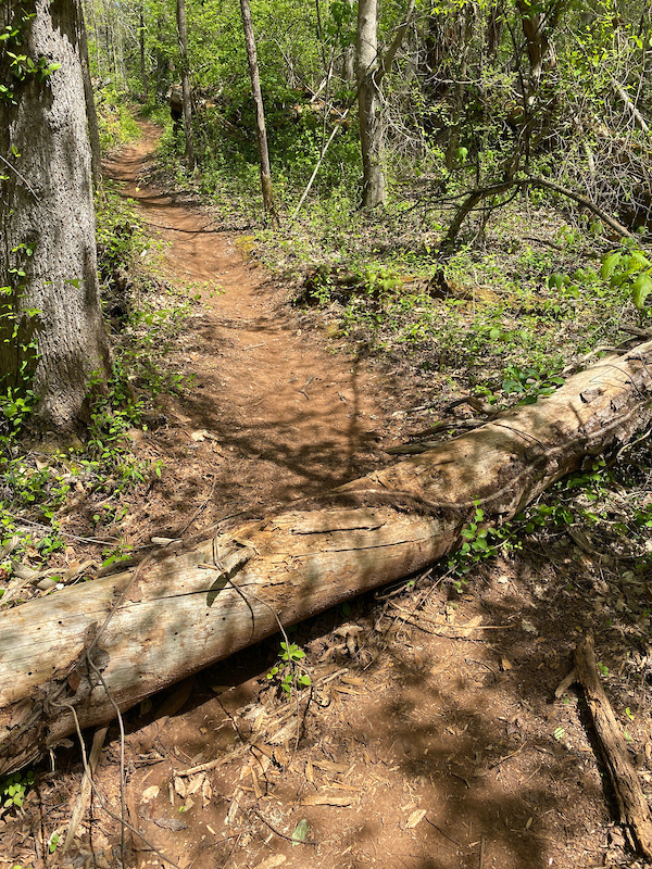 Middle East Loop Multi Trail - Farragut, Tennessee