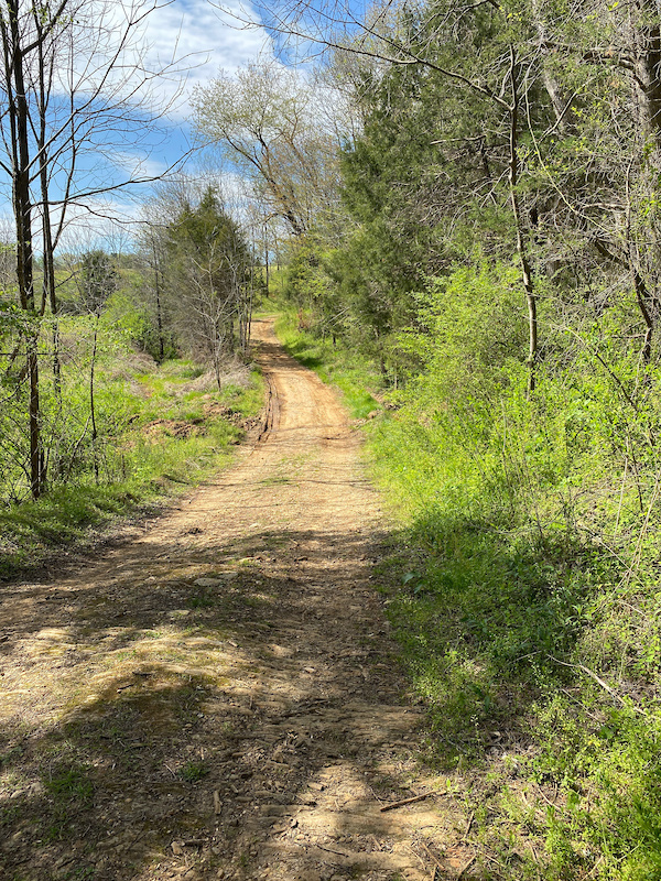 Waid Farm Trail Mountain Biking Trail - Rocky Mount