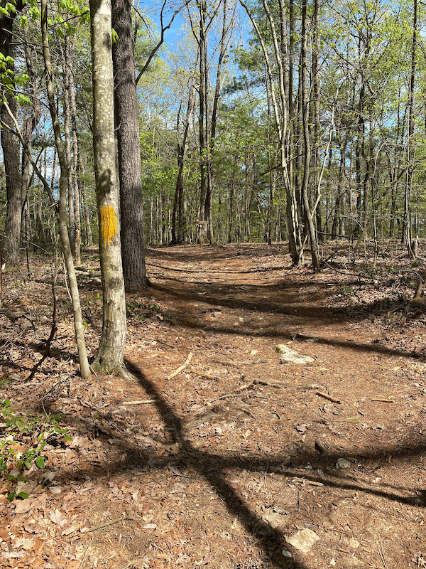 Revenuer's Run Trail Mountain Biking Trail - Rocky Mount