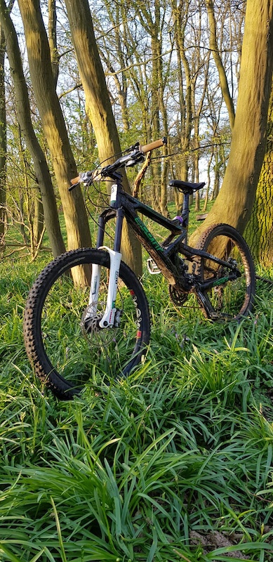 2008 Scott Ransom 20 Carbon For Sale