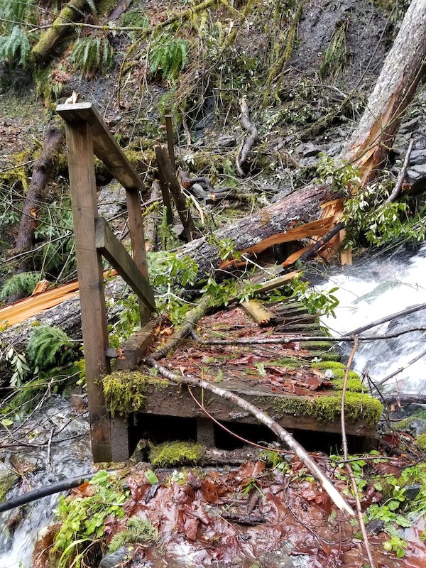 Lower Rogue River Trail, Gold Beach Mountain Biking Trails | Trailforks