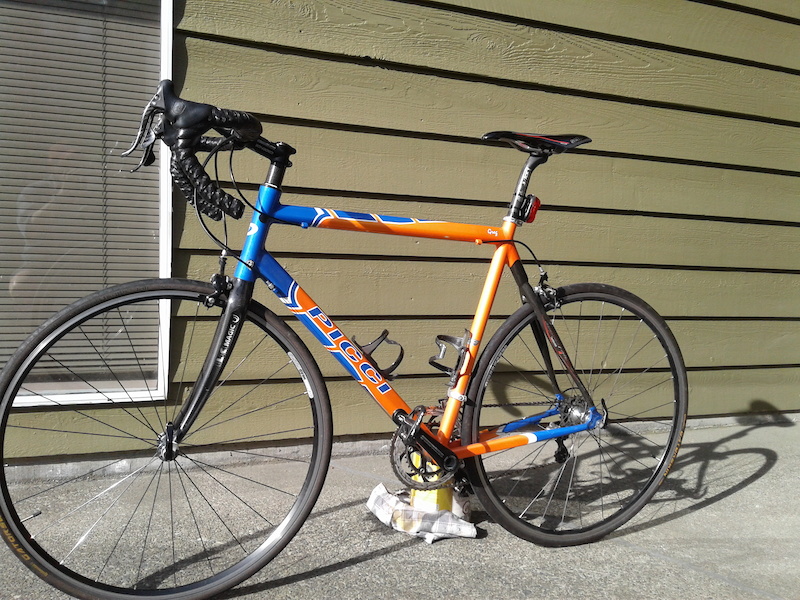 2012 Picci Road Bike Campy 10spd For Sale