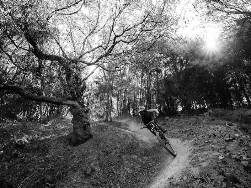 Twisty Tree Mountain Biking Trail - Middle Hill MTB