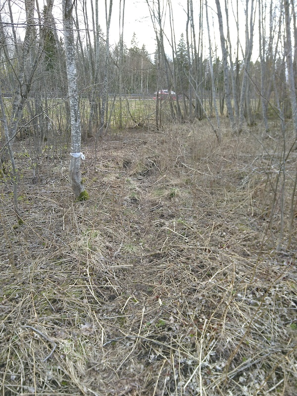 Overgrown Trail Mountain Biking Trail - Gävle