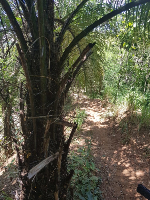Descida do Espinho Mountain Biking Trail - Belo Horizonte