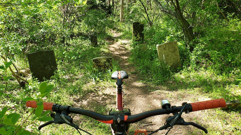 Biscuit Run County Park Mountain Biking Trails | Trailforks