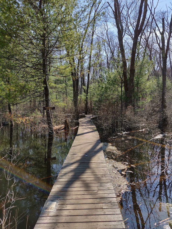 Bay Circuit Trail (North) Multi Trail - Andover, MA