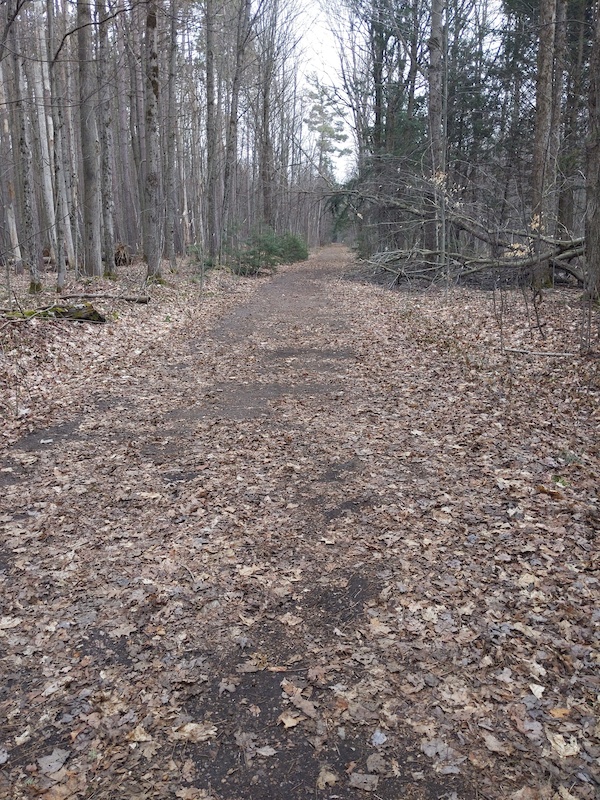 Double Track - Sign Post 11 to 10 Multi Trail - Oro-Medonte