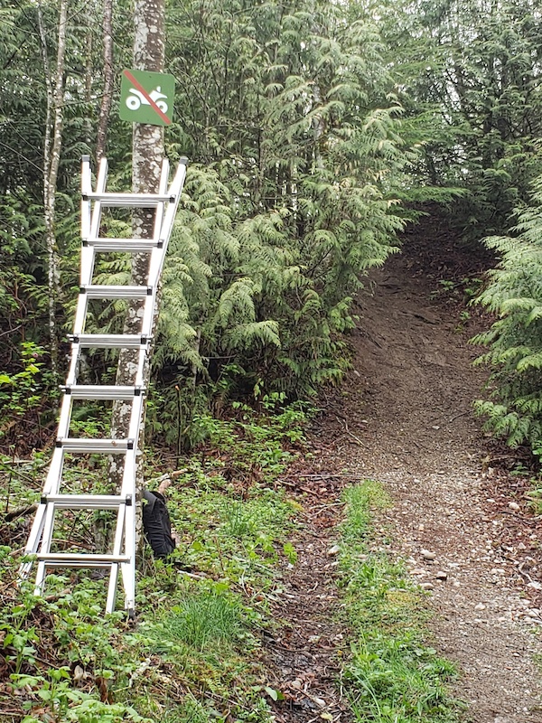 Long Way Home Mountain Biking Trail - Abbotsford, BC