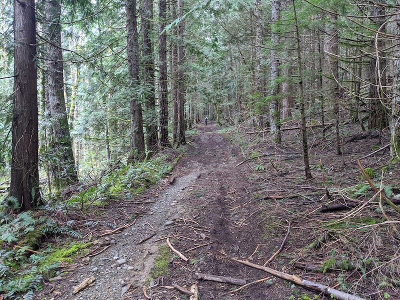 Old Doubletrack Dirtbiking Trail - Nanaimo, BC