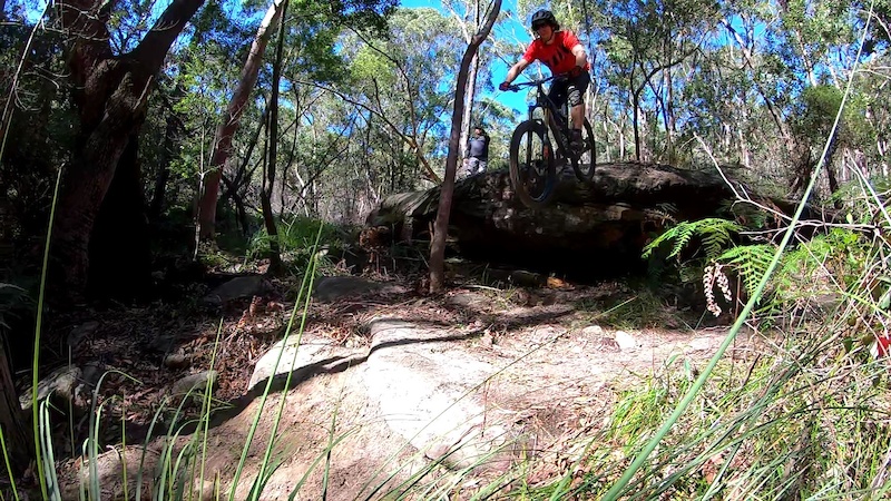 Belrose Bowl, Sydney Mountain Biking Trails | Trailforks