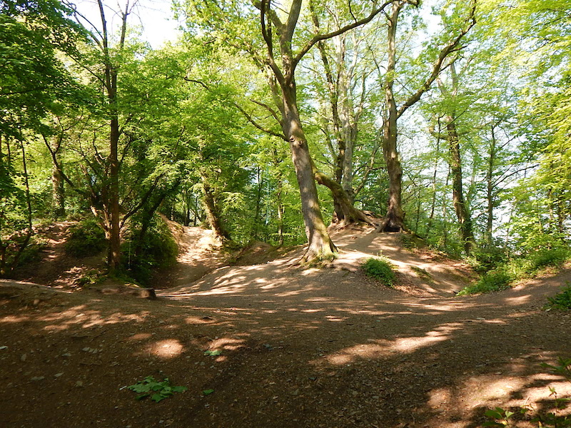 Devils Drop Downhill Mountain Biking Trail - Taunton