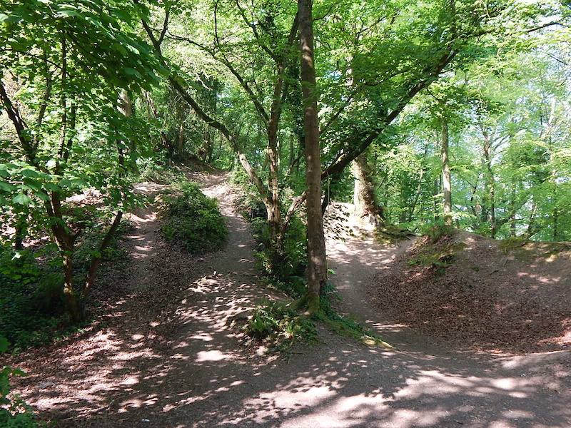 Kings Cliff, Taunton Mountain Biking Trails | Trailforks