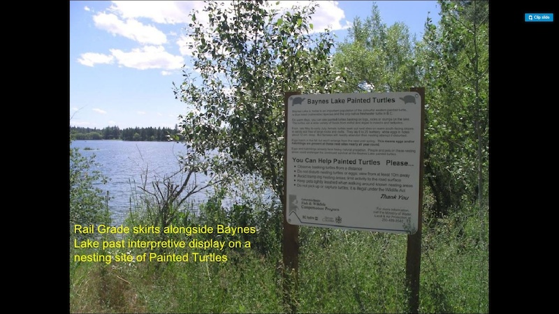 Baynes Lake Connector (The Great Trail) Multi Trail - Baynes Lake