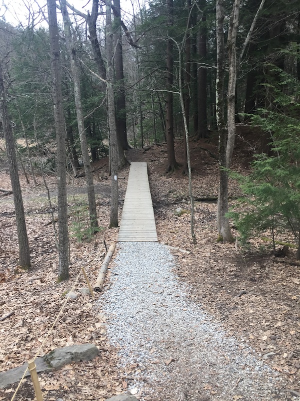 Fore River Forest City Trail (White) Multi Trail - Portland