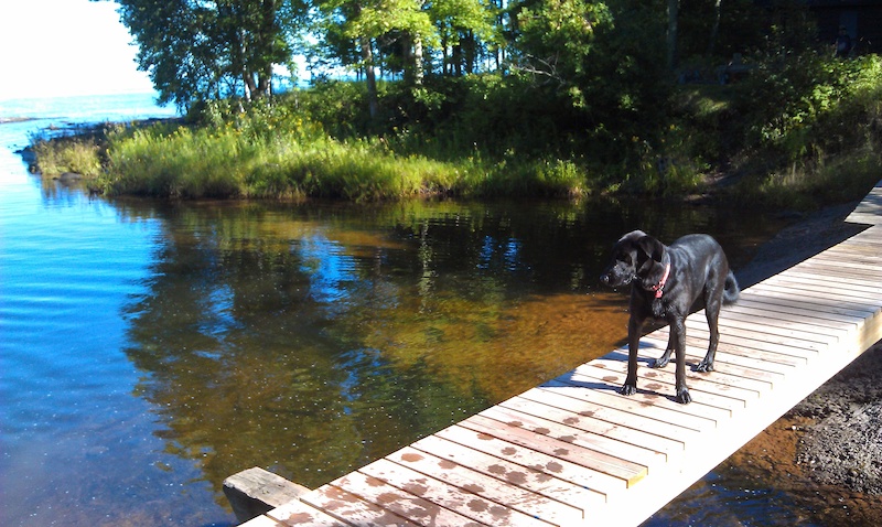 Ottawa National Forest Mountain Biking Trails | Trailforks