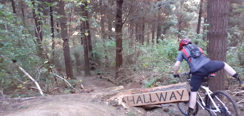 Hallway Mountain Biking Trail - Whare Flat, Dunedin