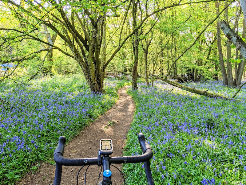 Trail Hiking Trail - Broxbourne Woods, Broxbourne