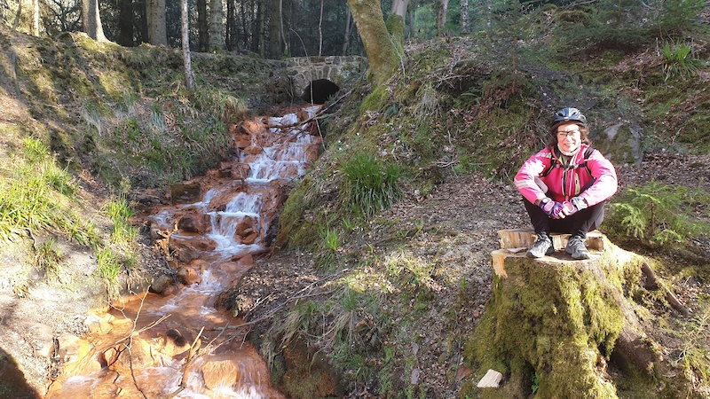 Castlecary High Wood, Bonnybridge Mountain Biking Trails | Trailforks